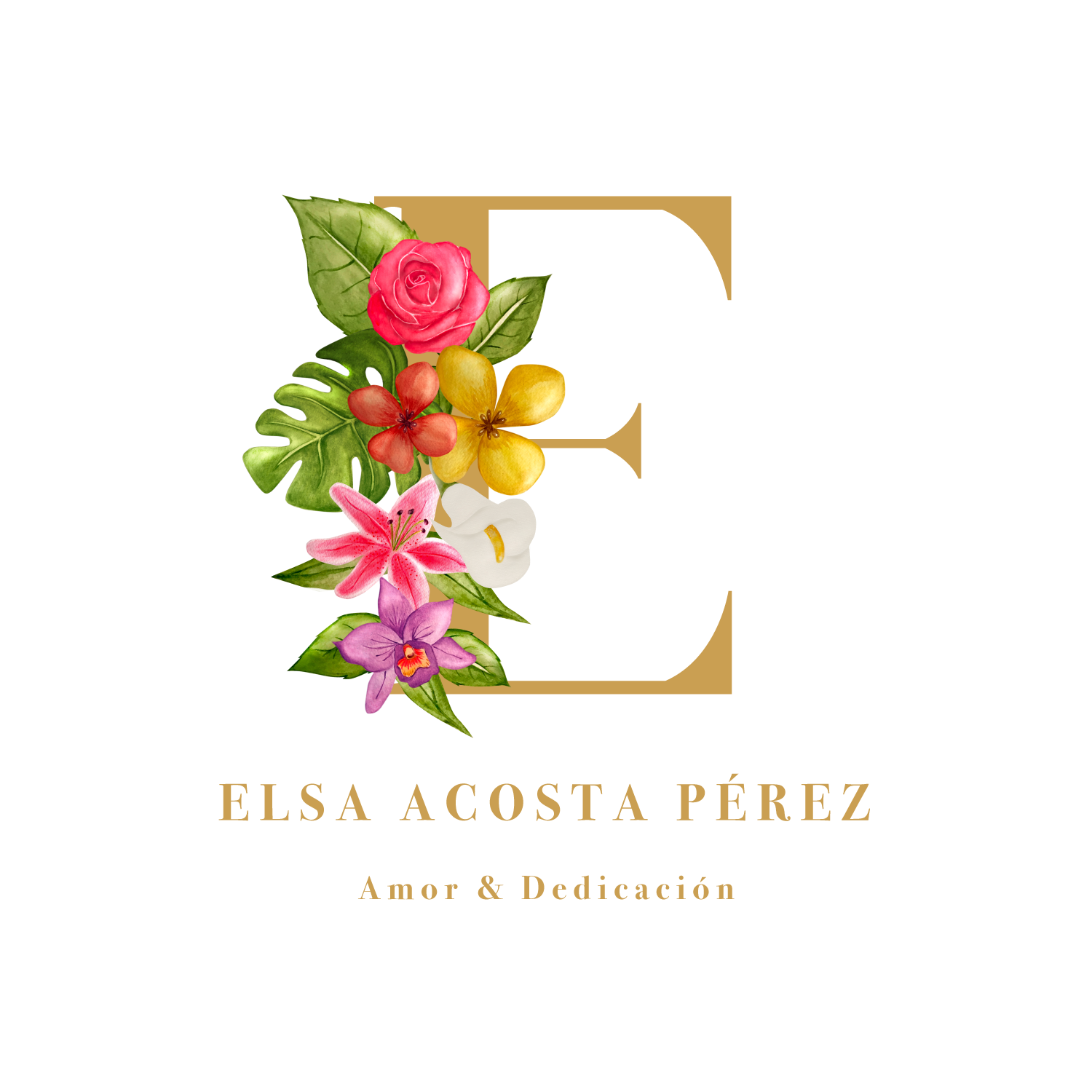 Elsa Acosta Pérez | Wedding Decoration & Lighting in Santa Marta ...