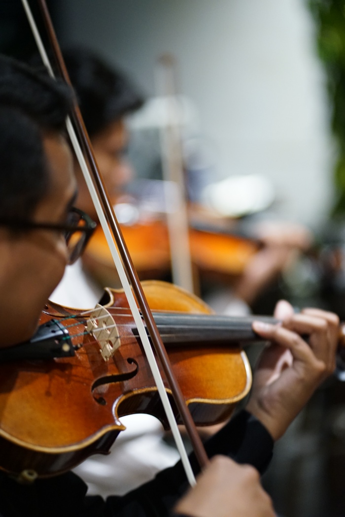 The Strings Quartet by Archipelagio Music | Bridestory Store