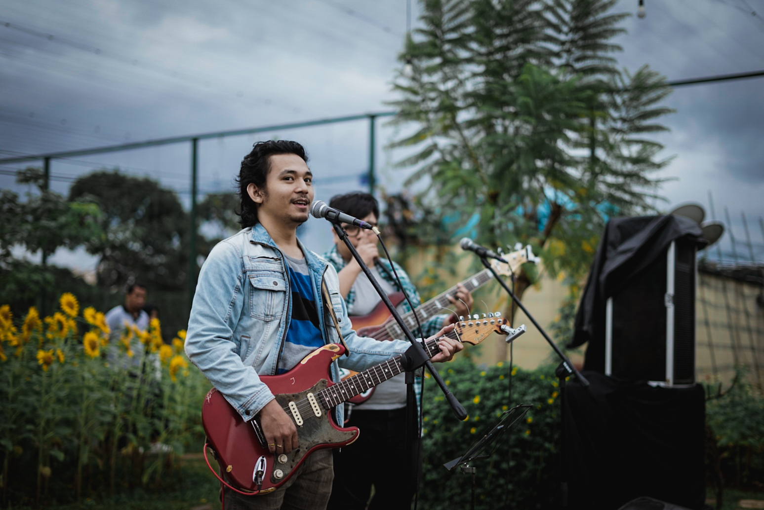 Sunflower Festival At Paris Van Java | Josh & Friends Entertainment ...