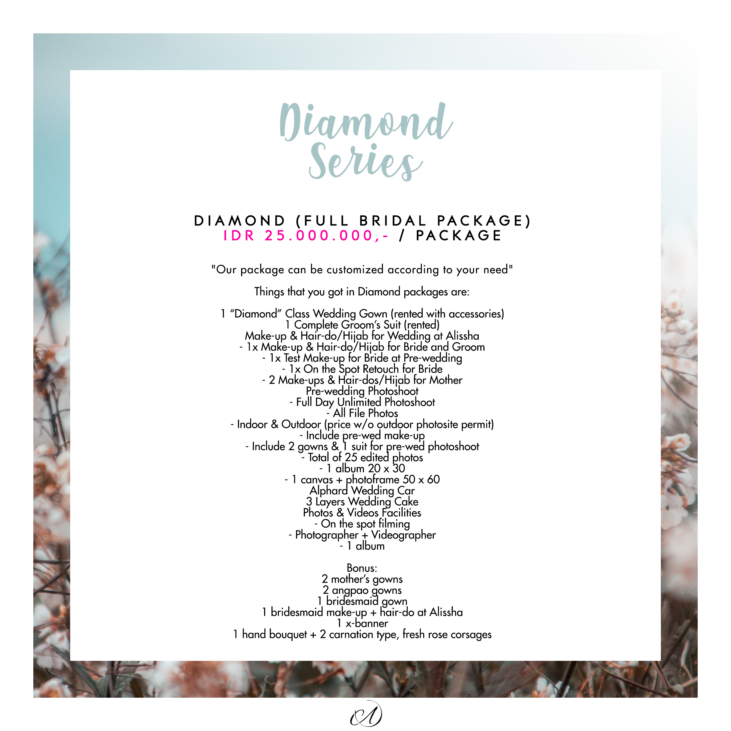 Paket Bridal Wedding "Diamond" (Full Bridal Package) by Alissha Bride ...