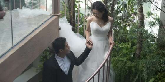 All in Package Imperium 37th Terrarium Rooftop oleh Iris Wedding ...