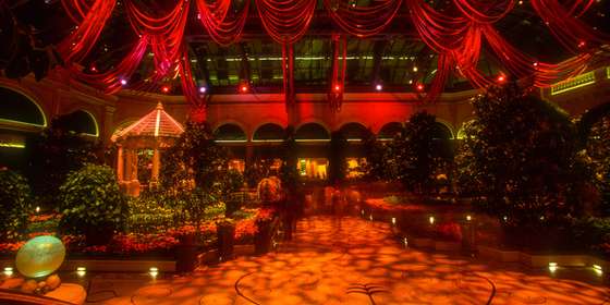 Lighting Ballroom oleh Serendipity Hotel | Bridestory Store