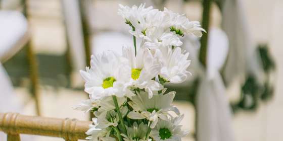 Calla Lily 50 Persons oleh Courtyard by Marriott Bali Nusa Dua ...